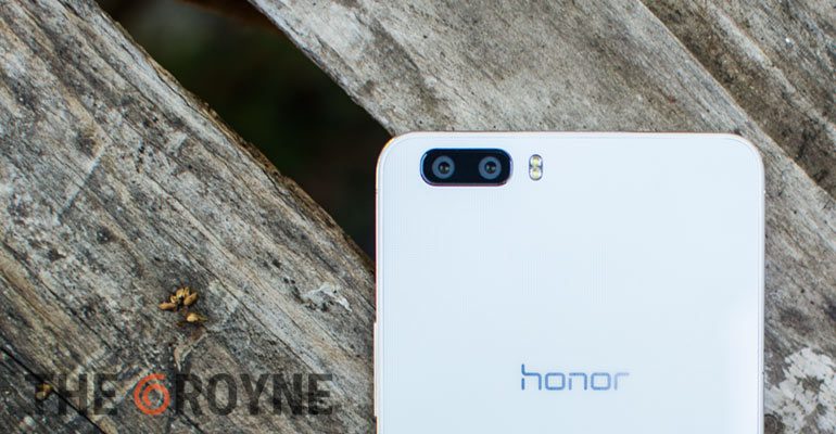 Honor Archivos - The Groyne